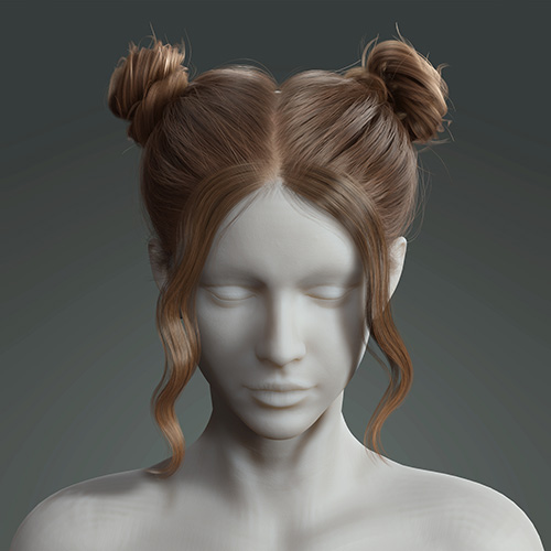 Double Bun Braid 0