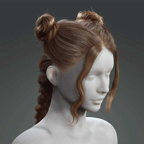 Double Bun Braid 45