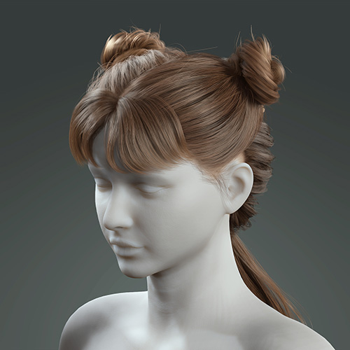 Double Bun Ponytail -45