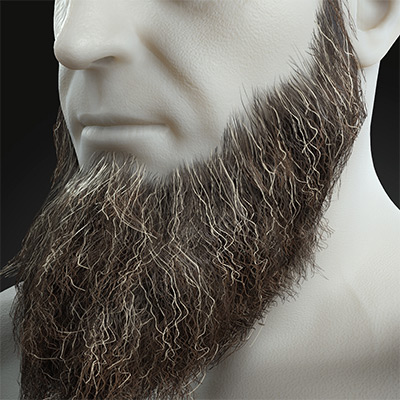 Chin Curtain Beard