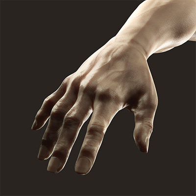 Hand Large