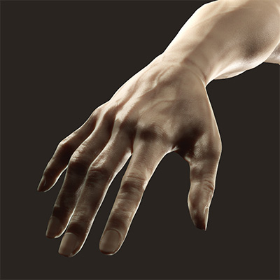 Hand Long-Finger