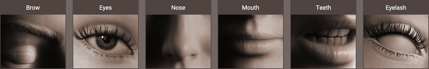 Digital Human Essential - Ultimate Morphs