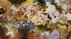 Total Materials-General Textures