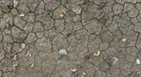 Total Materials-General Textures