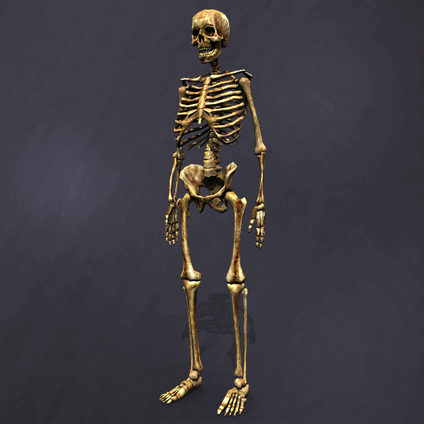 Army Of Skeletons
