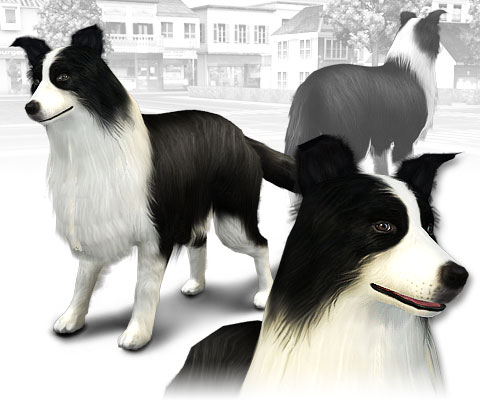 iClone Pictures Demo