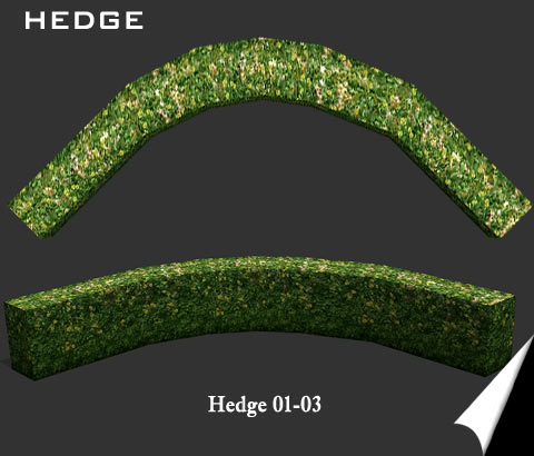 Hedges