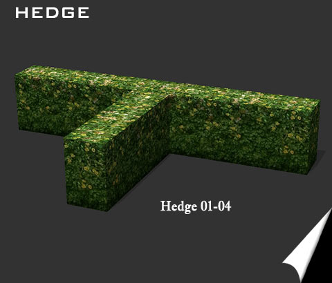 Hedges