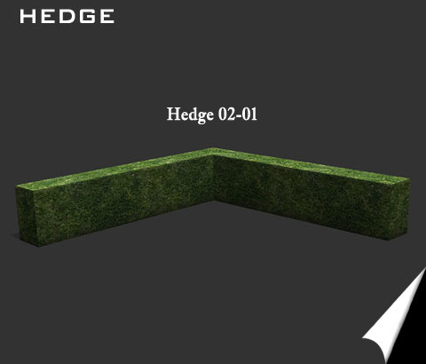 Hedges