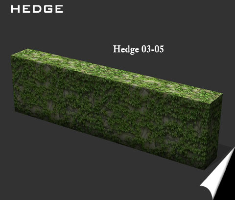 Hedges