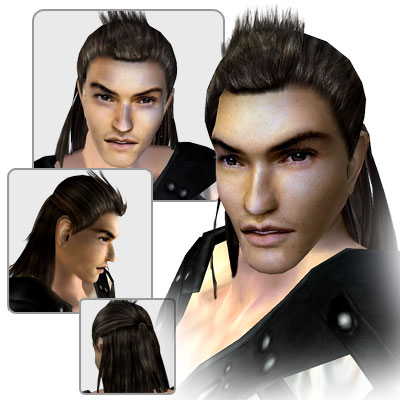 Fantasy Character Hair Volume 1
