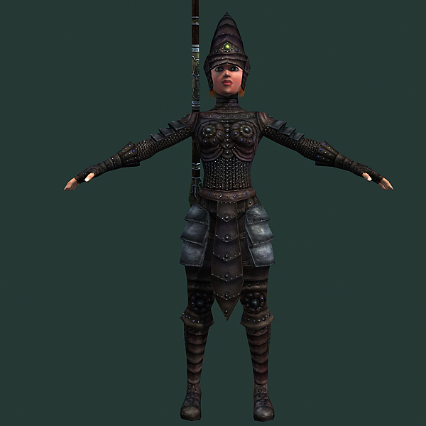Seven Medieval Heroes