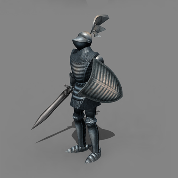 Seven Medieval Heroes