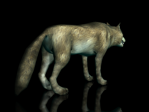 Standard Wolf