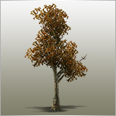Total_Plants-Biosphere_Collection