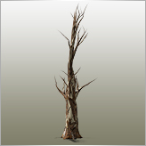 Total_Plants-Biosphere_Collection