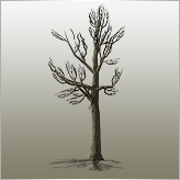 Total_Plants-Biosphere_Collection