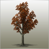 Total_Plants-Biosphere_Collection