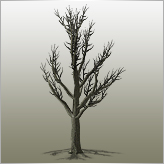 Total_Plants-Biosphere_Collection