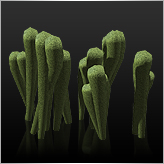 Total_Plants-Biosphere_Collection