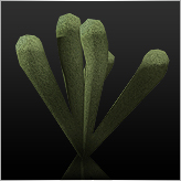 Total_Plants-Biosphere_Collection