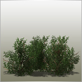 Total_Plants-Biosphere_Collection