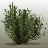 Total_Plants-Biosphere_Collection