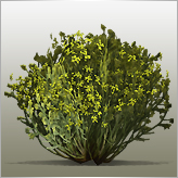Total_Plants-Biosphere_Collection