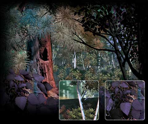 LivePlants 3D Scenes - World Wildness Volume 2