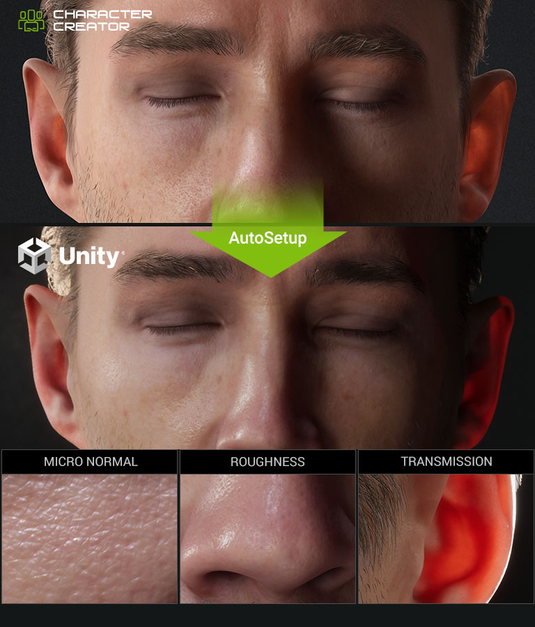 Auto Setup for Unity | Character Creator
