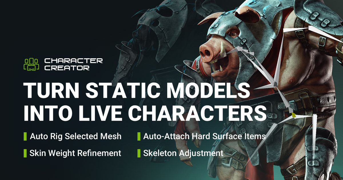 Advanced AccuRIG: Auto Rig 3D Models | Character Creator