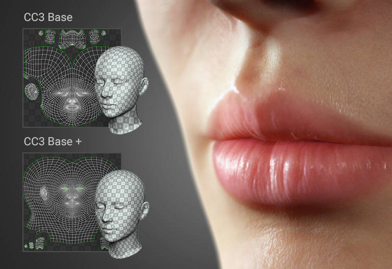 3D Character Base Mesh | Character Creator