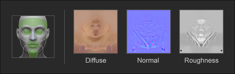 Dynamic Wrinkles | Character Creator