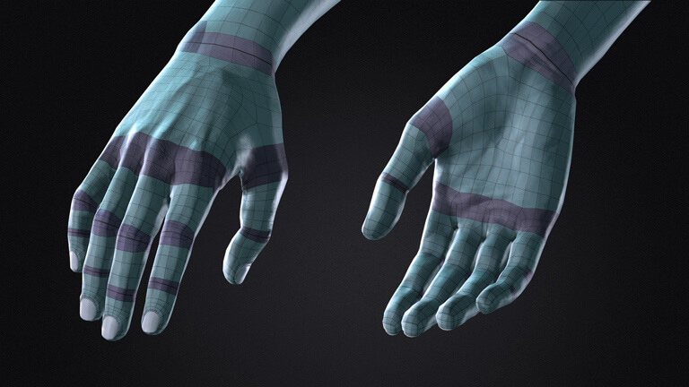 Free 3D Rigged Human Model - CC Character Base
