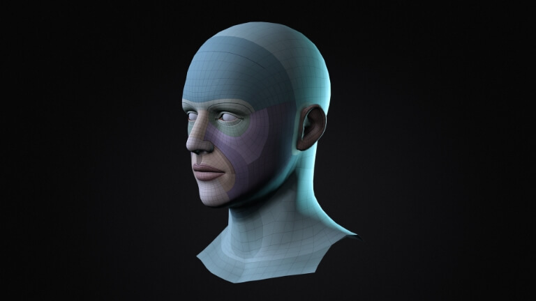 Free 3D Rigged Human Model - CC Character Base