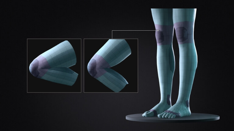Free 3D Rigged Human Model - CC Character Base