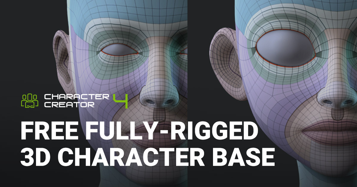 Free 3D Rigged Human Model - CC Character Base