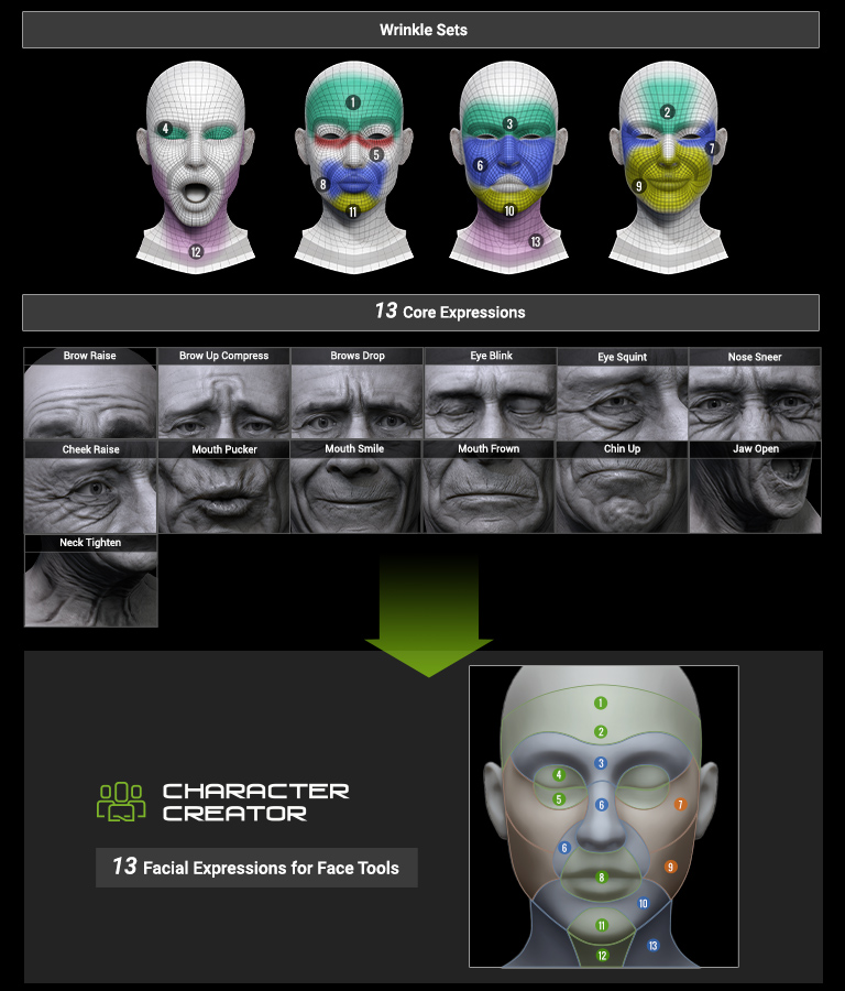 ZBrush Face Tools - Empower 3D Face | Character Creator