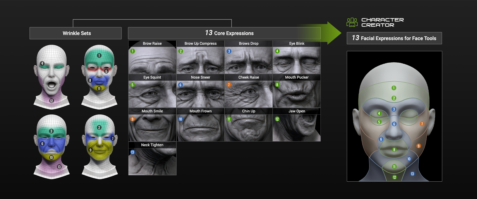 ZBrush Face Tools - Empower 3D Face | Character Creator