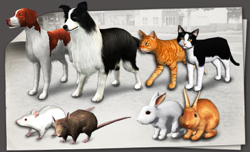 iClone Content Pack: Animal World Vol.2 Household Animals