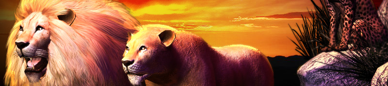 Fierce Animals I
