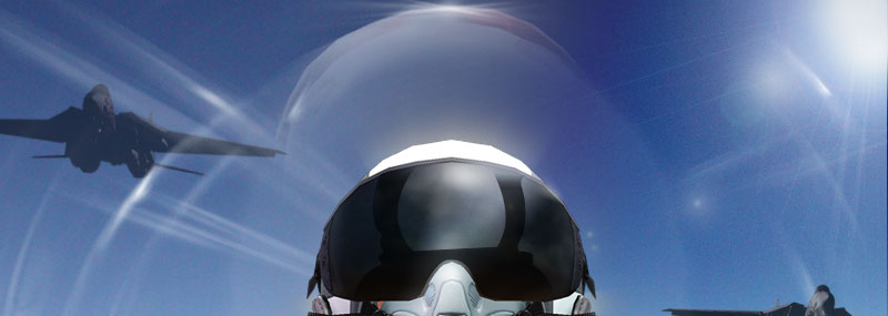 US Navy F-14 Aviator