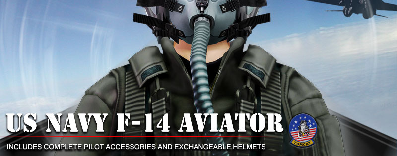US Navy F-14 Aviator