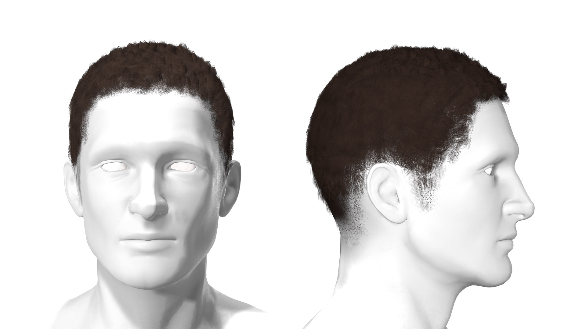 Light Skin - Character Creator/Hair - Reallusion Content Store