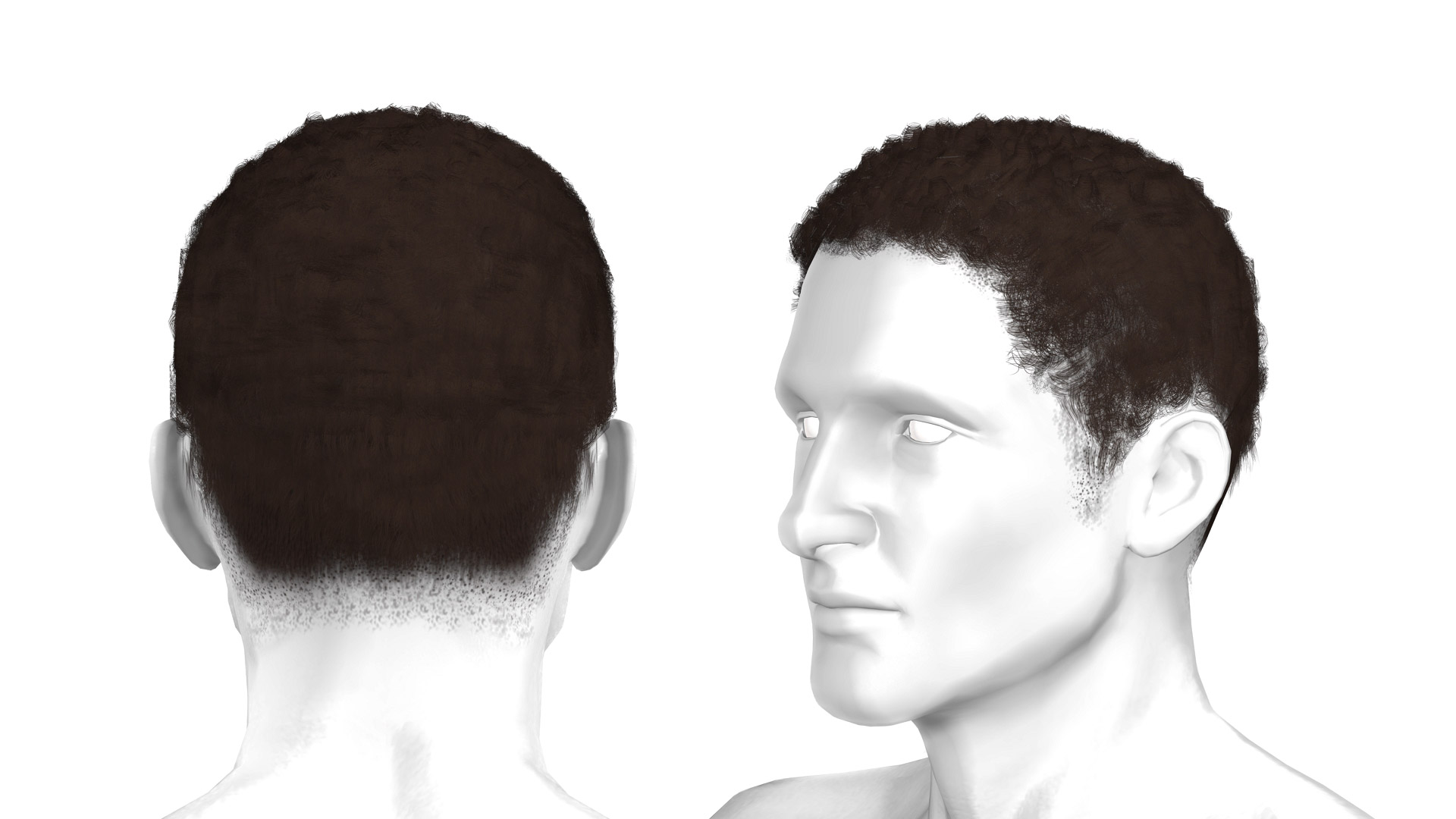 Light Skin - Character Creator/Hair - Reallusion Content Store