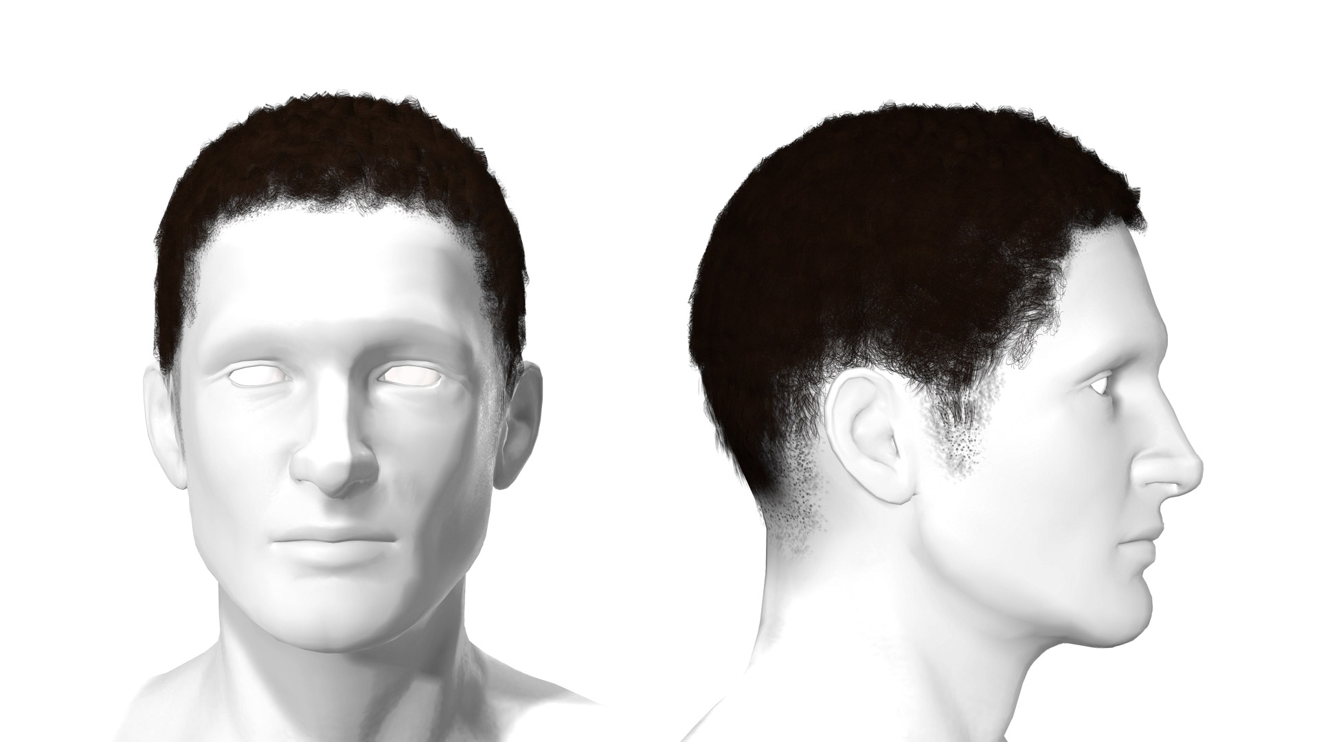 Light Skin - Character Creator/Hair - Reallusion Content Store
