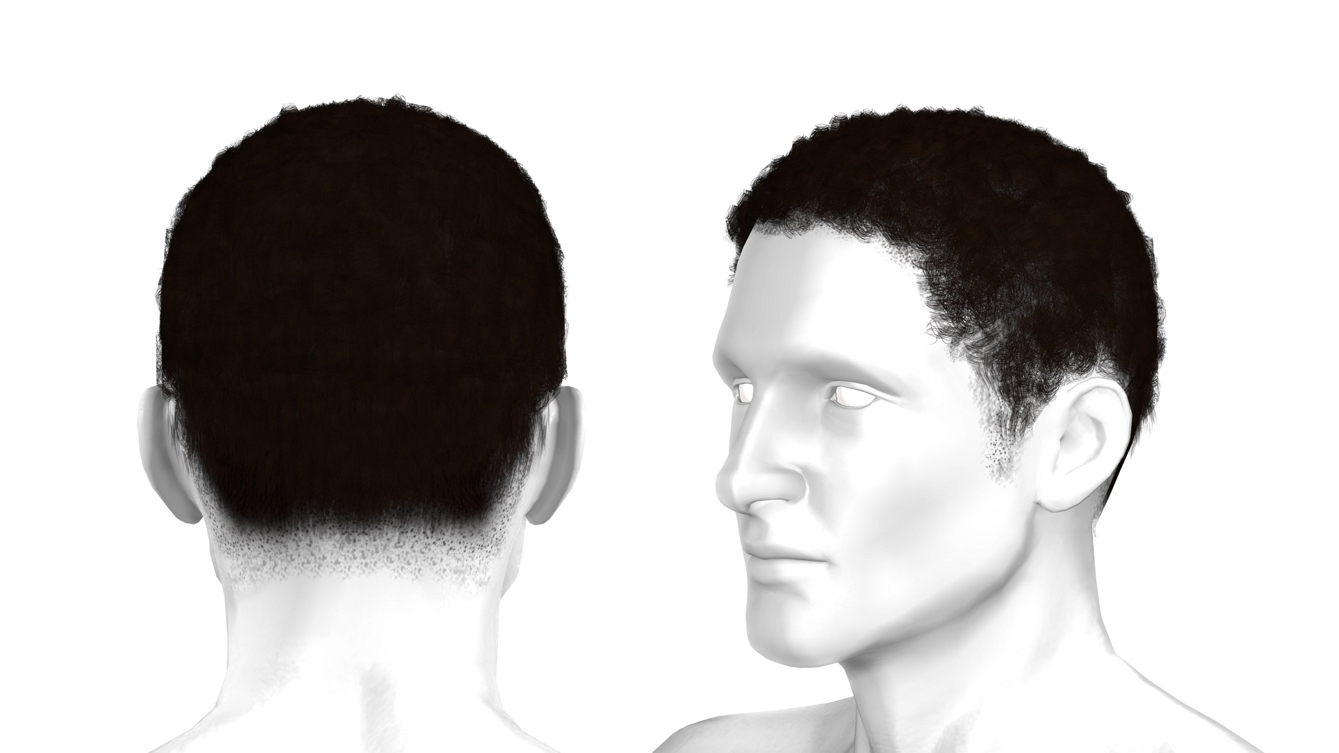 Light Skin - Character Creator/Hair - Reallusion Content Store