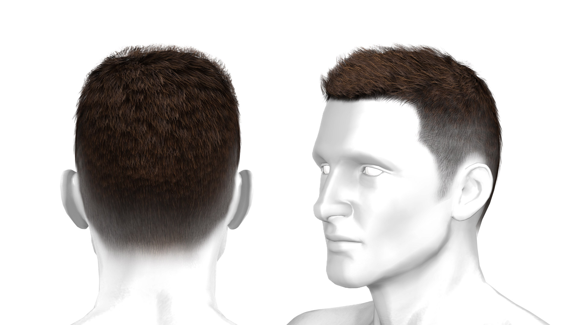 Faux Hawk - Character Creator/Hair - Reallusion Content Store