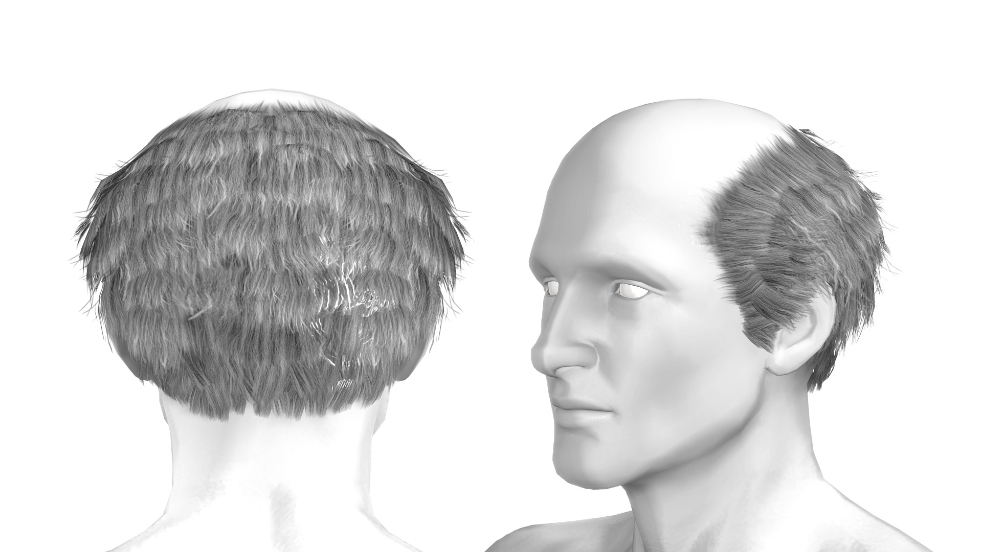 Bald - Character Creator/Hair - Reallusion Content Store
